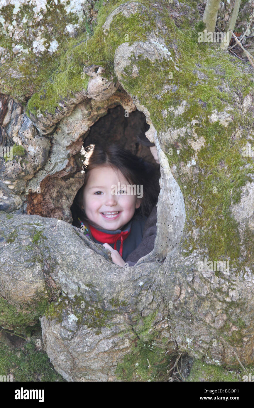 A little girl in a tree hole Stock Photo - Alamy