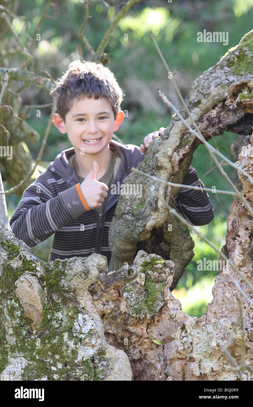 A child on a tree Stock Photo - Alamy