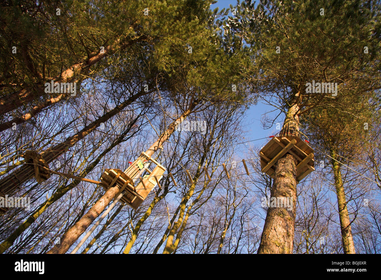 Go ape adventure park hi-res stock photography and images - Alamy