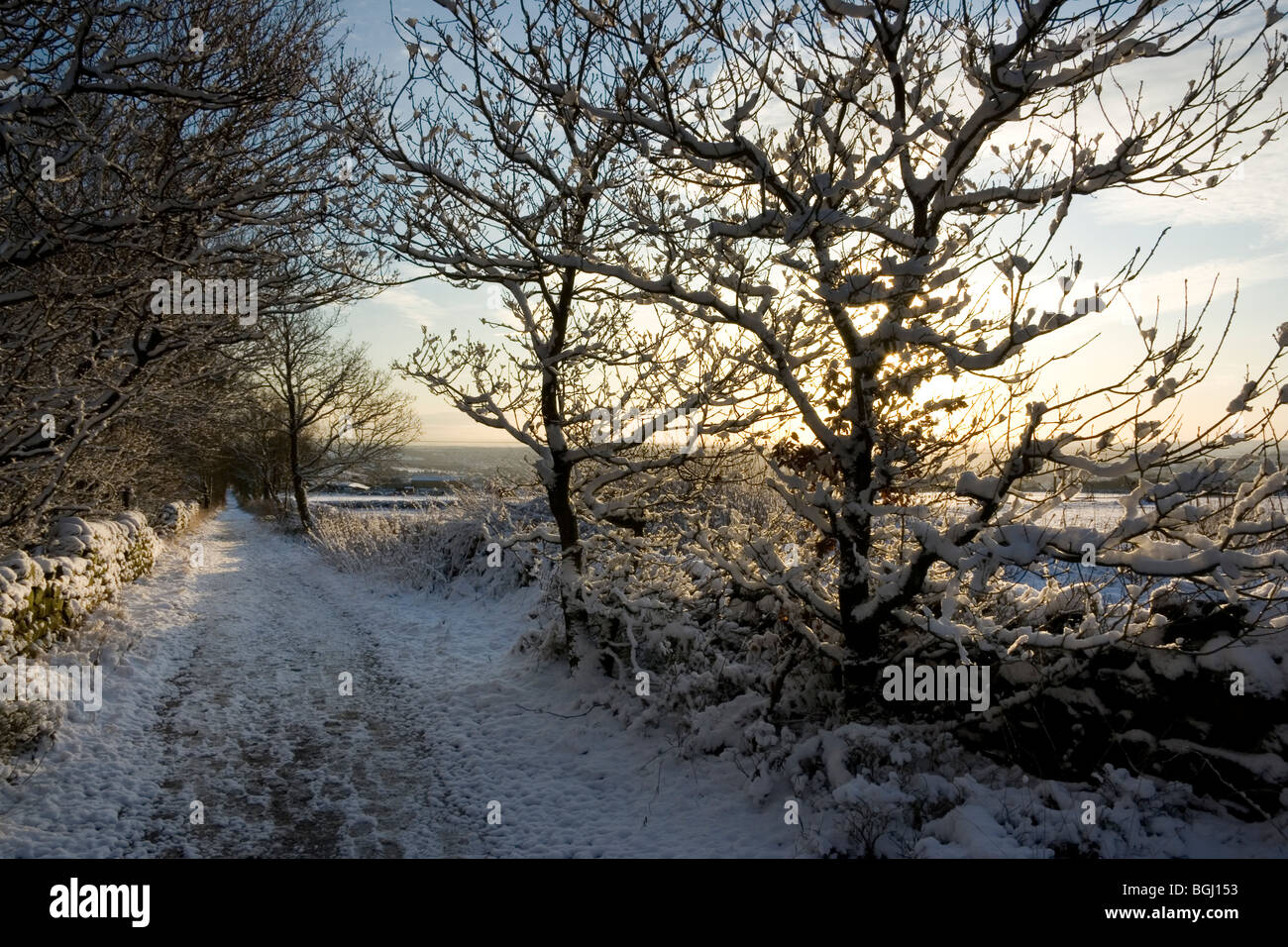 A snowy lane that leads from Guiseley to the moors of the Chevin, near ...