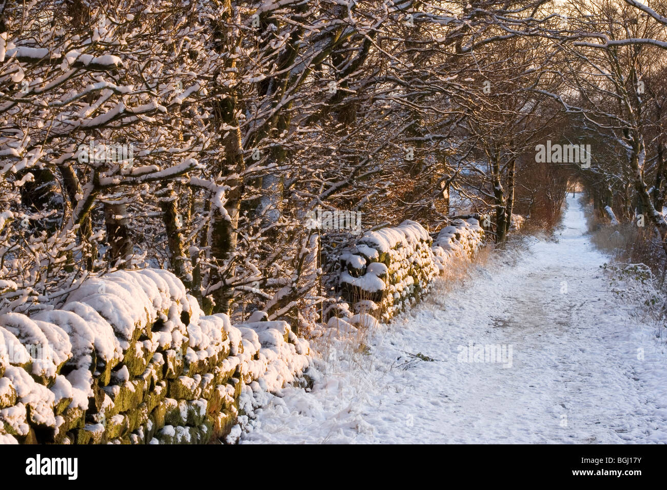 The chevin hi-res stock photography and images - Alamy