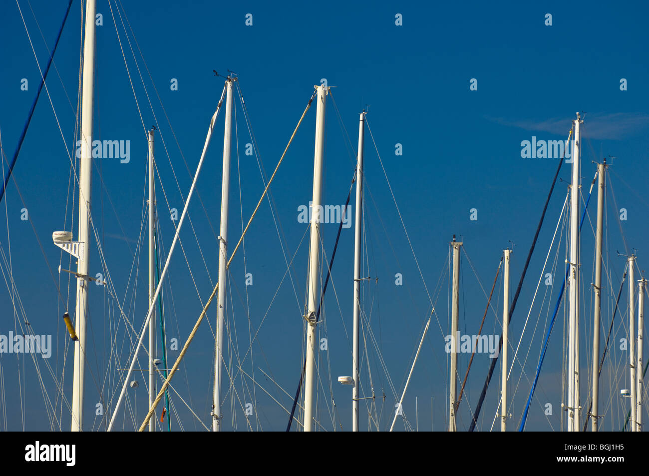 many sailboat masts in marinas Stock Photo - Alamy