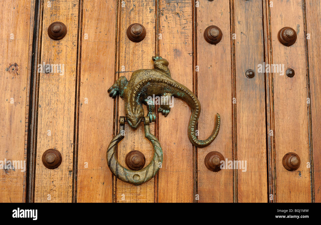 Lizard door knocker hi-res stock photography and images - Alamy