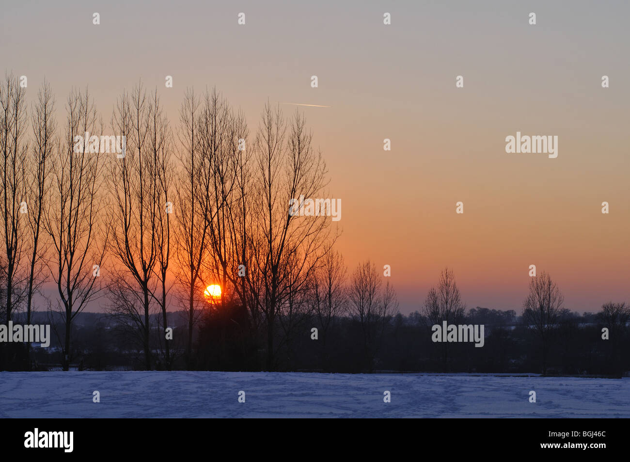 Sunset through trees hi-res stock photography and images - Alamy