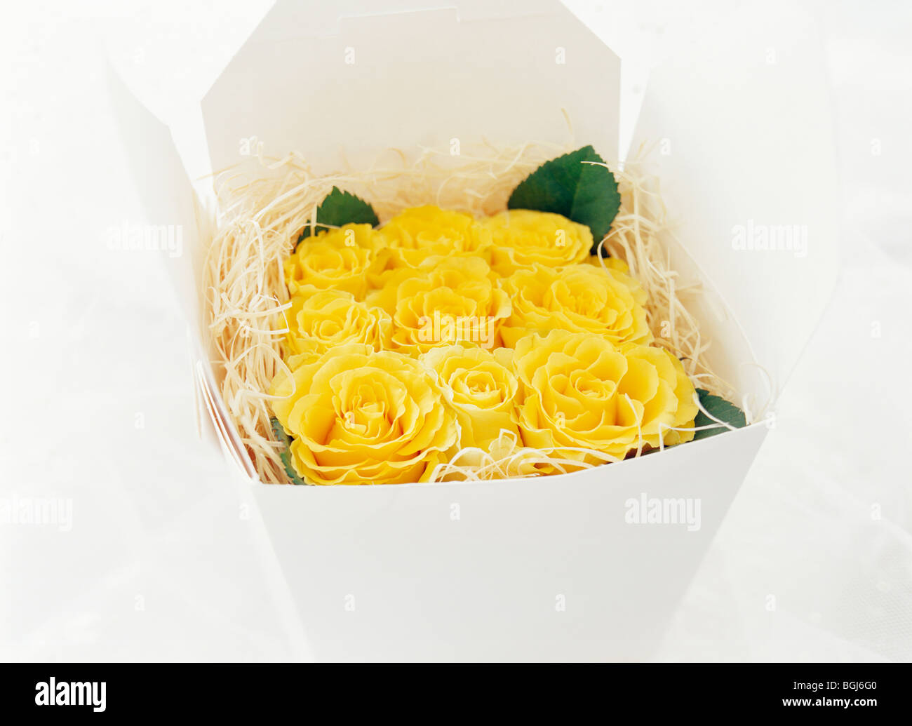 Gift box of yellow roses Stock Photo - Alamy