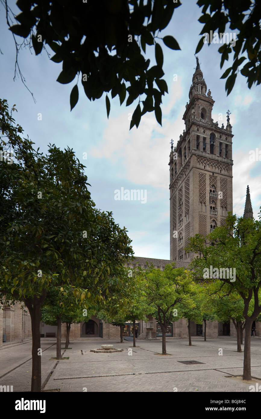 former Almohad mosque in courtyard of Seville Cathtedral, Andalusia ...