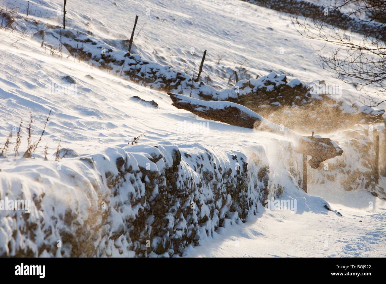 Snow blowing across hi-res stock photography and images - Alamy