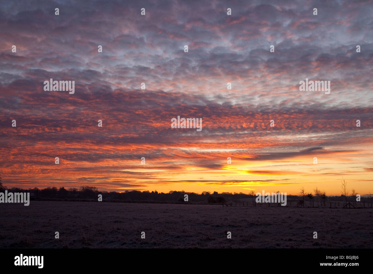Frosty fields hi-res stock photography and images - Alamy