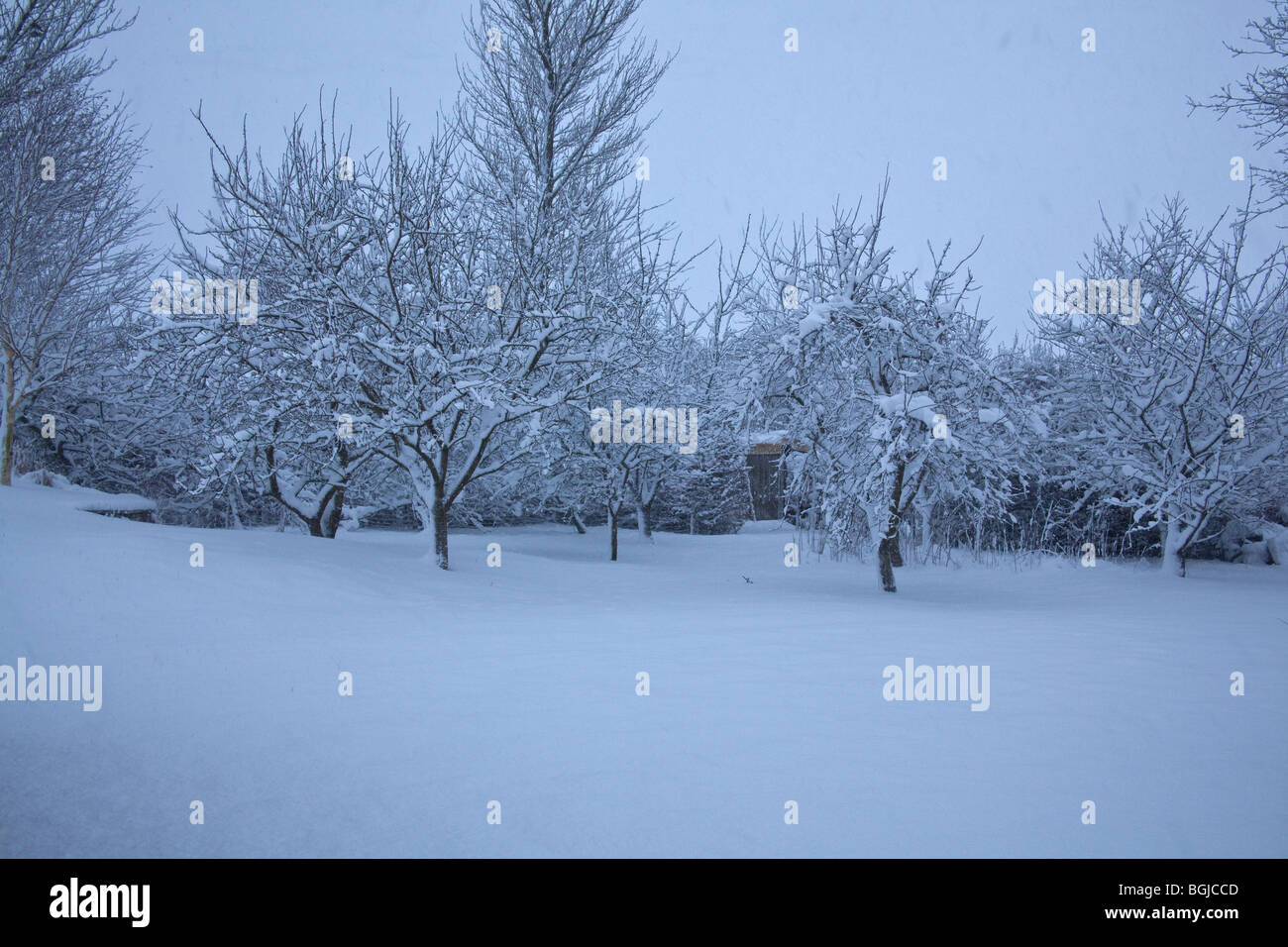 Snowfall in woodland hi-res stock photography and images - Alamy
