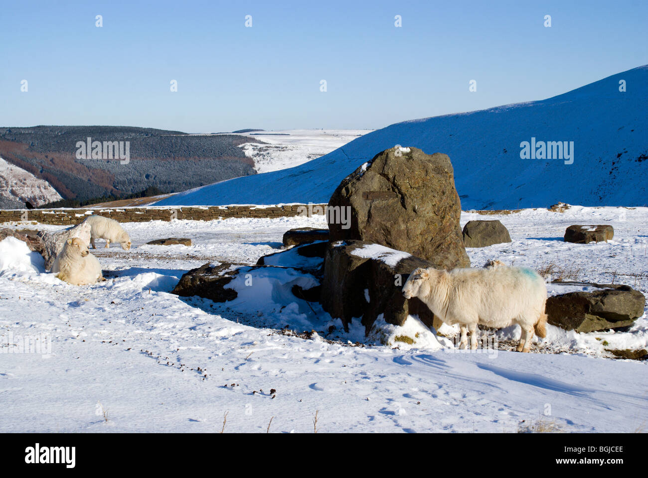 Top of the rhondda valley hi-res stock photography and images - Alamy