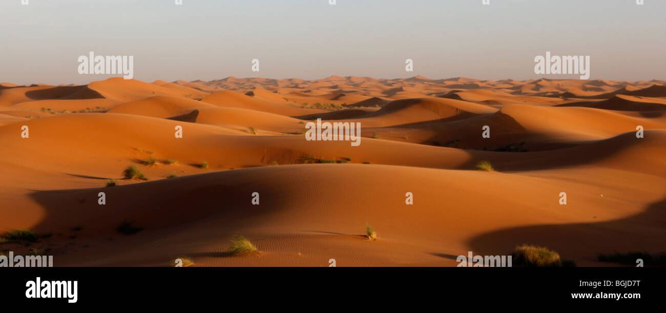Landscape of the sahara desert in morocco north africa Stock Photo - Alamy