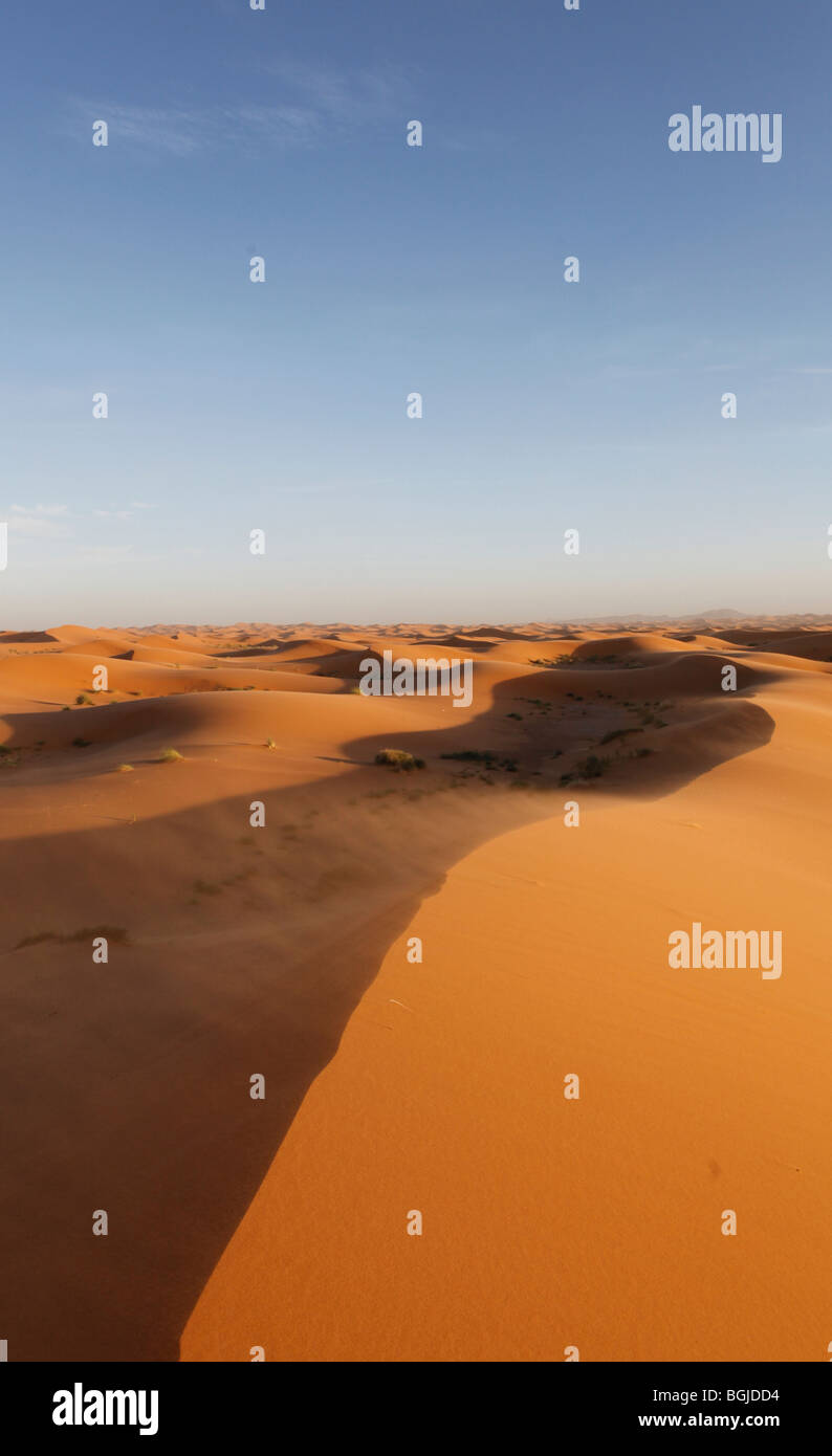 Landscape of the sahara desert in morocco north africa Stock Photo - Alamy