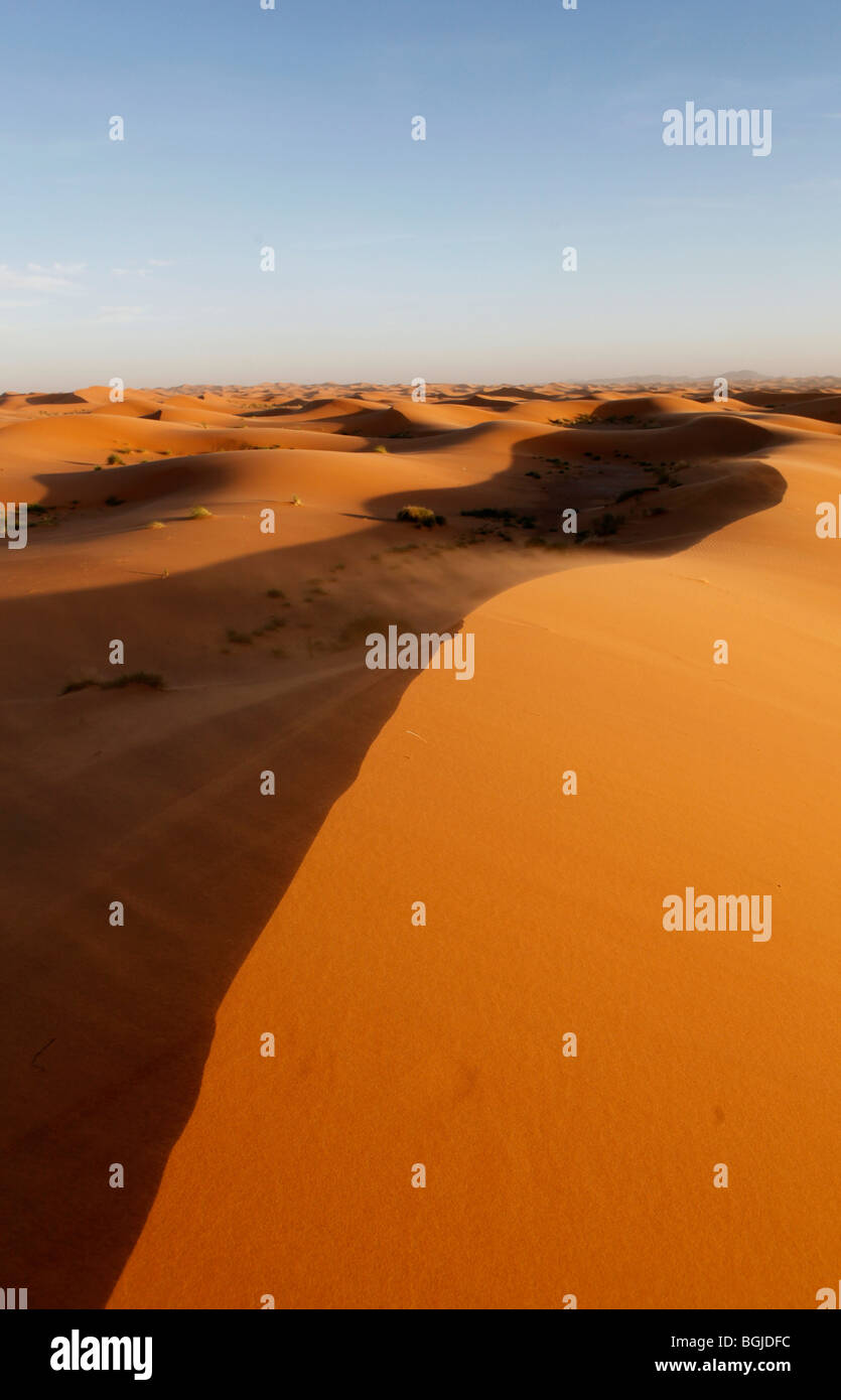 North africa sahara desert people hi-res stock photography and images ...