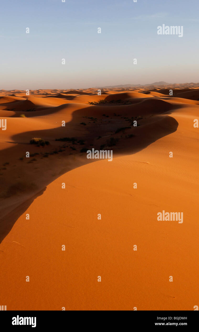 Landscape of the sahara desert in morocco north africa Stock Photo - Alamy