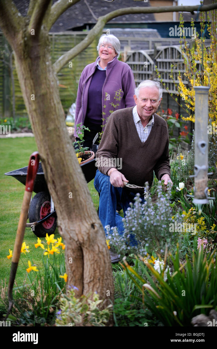 A retired man weeding a flower bed UK Stock Photo - Alamy
