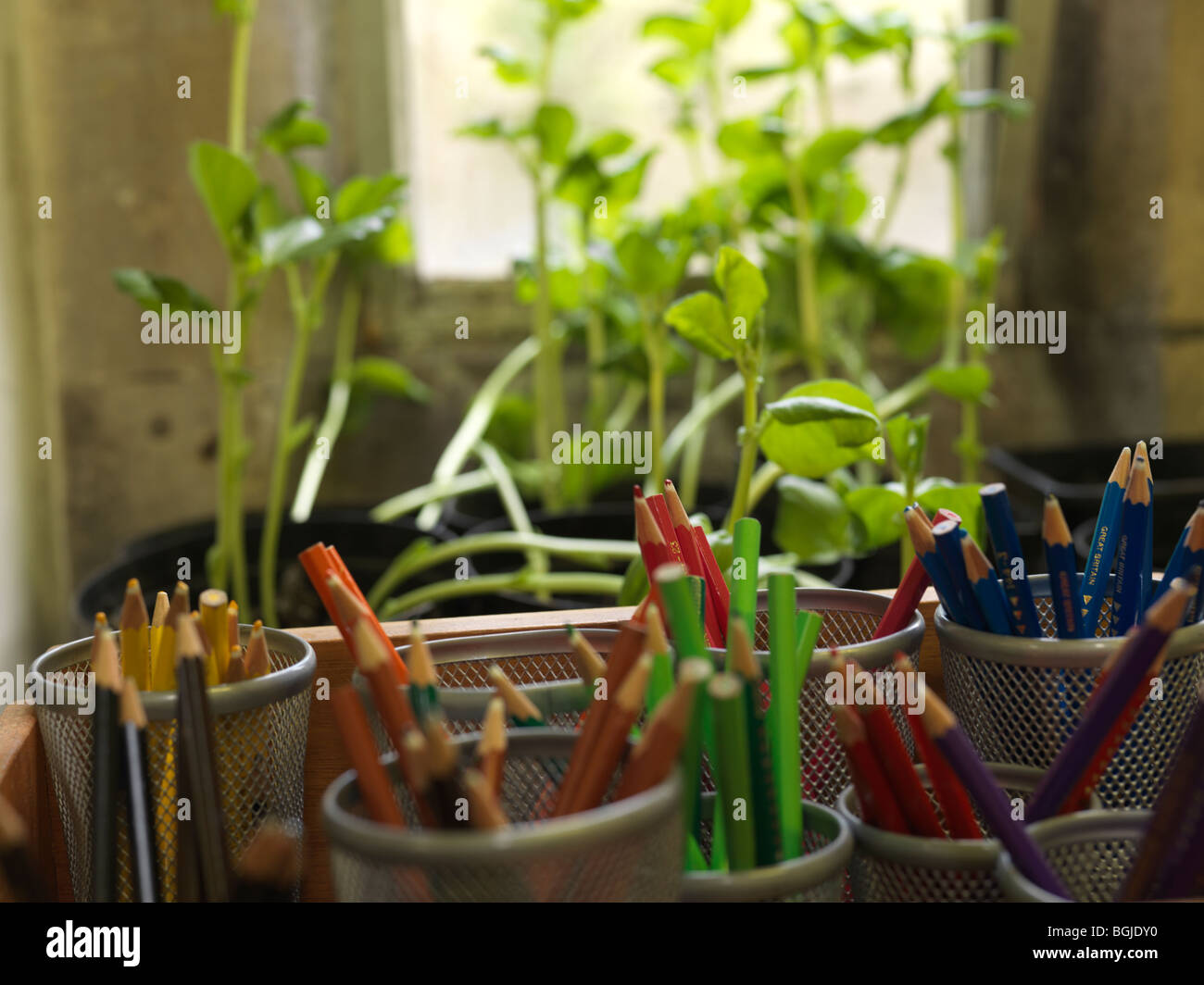 Plants classroom hi-res stock photography and images - Alamy
