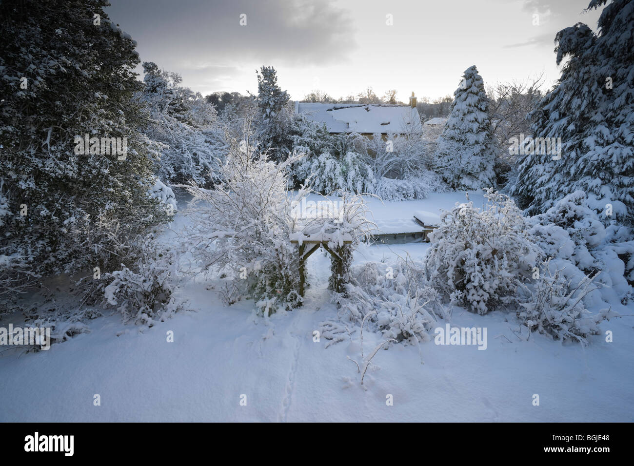 Kelso Scotland in winter snow - garden in deep snow Stock Photo - Alamy
