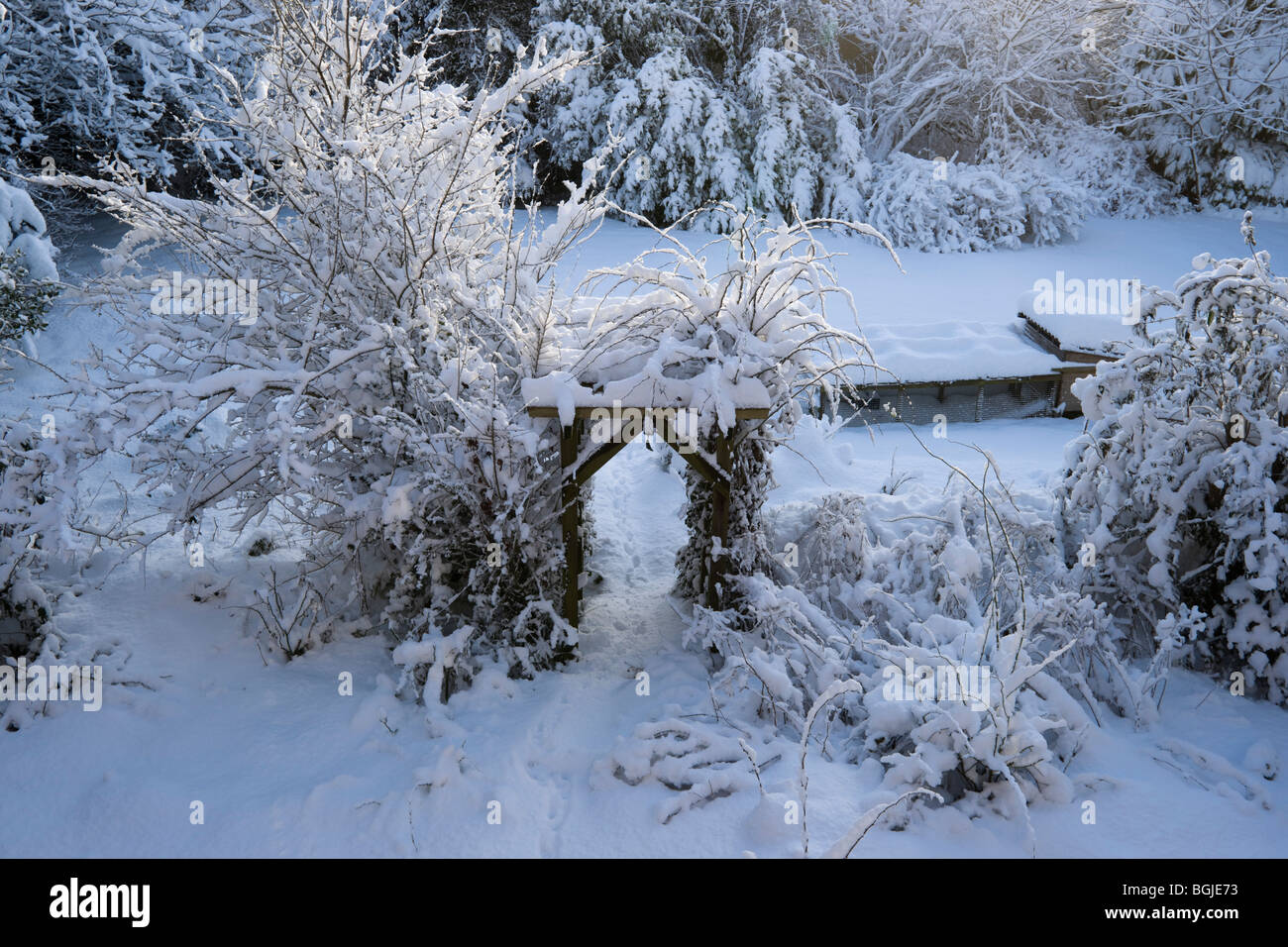 Kelso Scotland in winter snow - garden in deep snow Stock Photo - Alamy