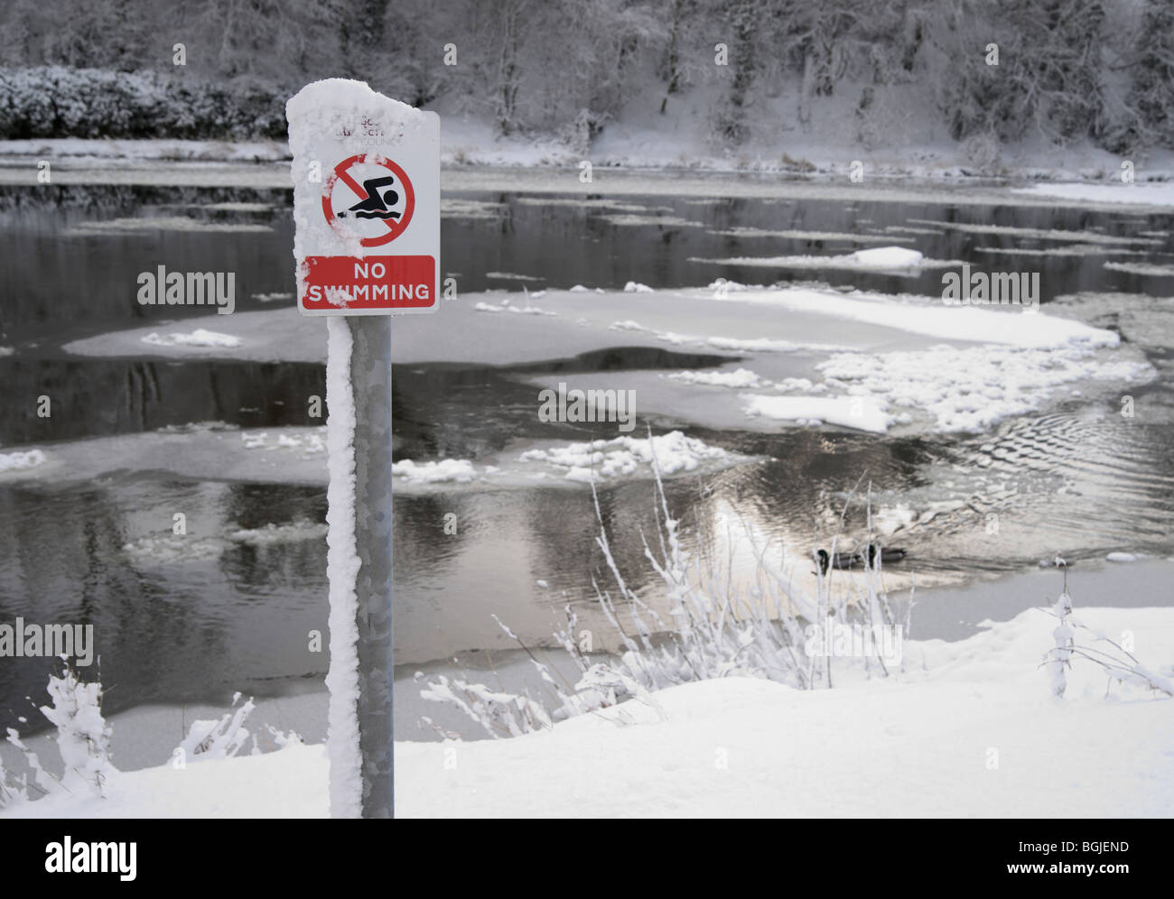 Kelso Scotland in winter snow - no swimming sign, River Tweed Stock ...