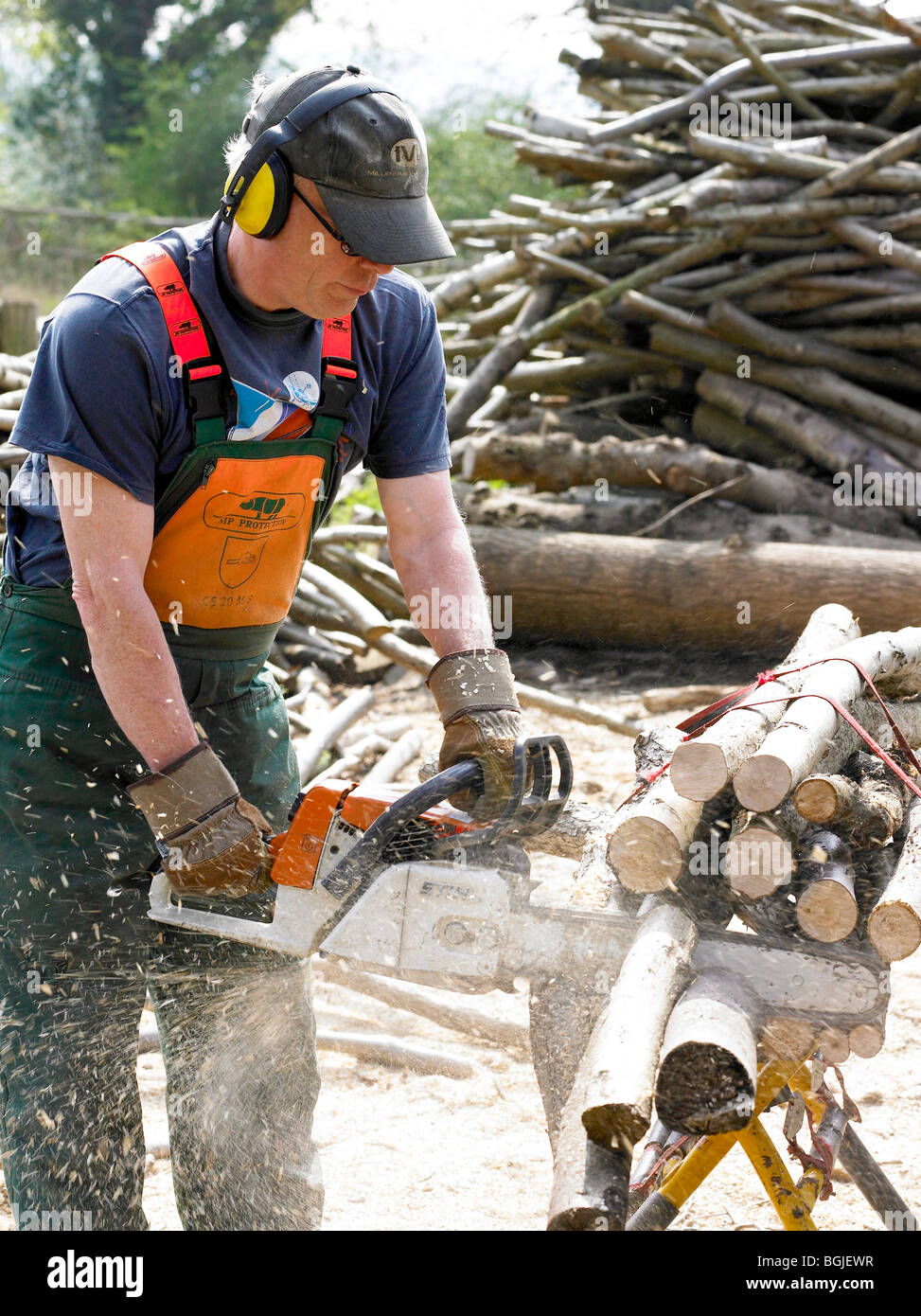 Woodsman cutting trees hi-res stock photography and images - Alamy
