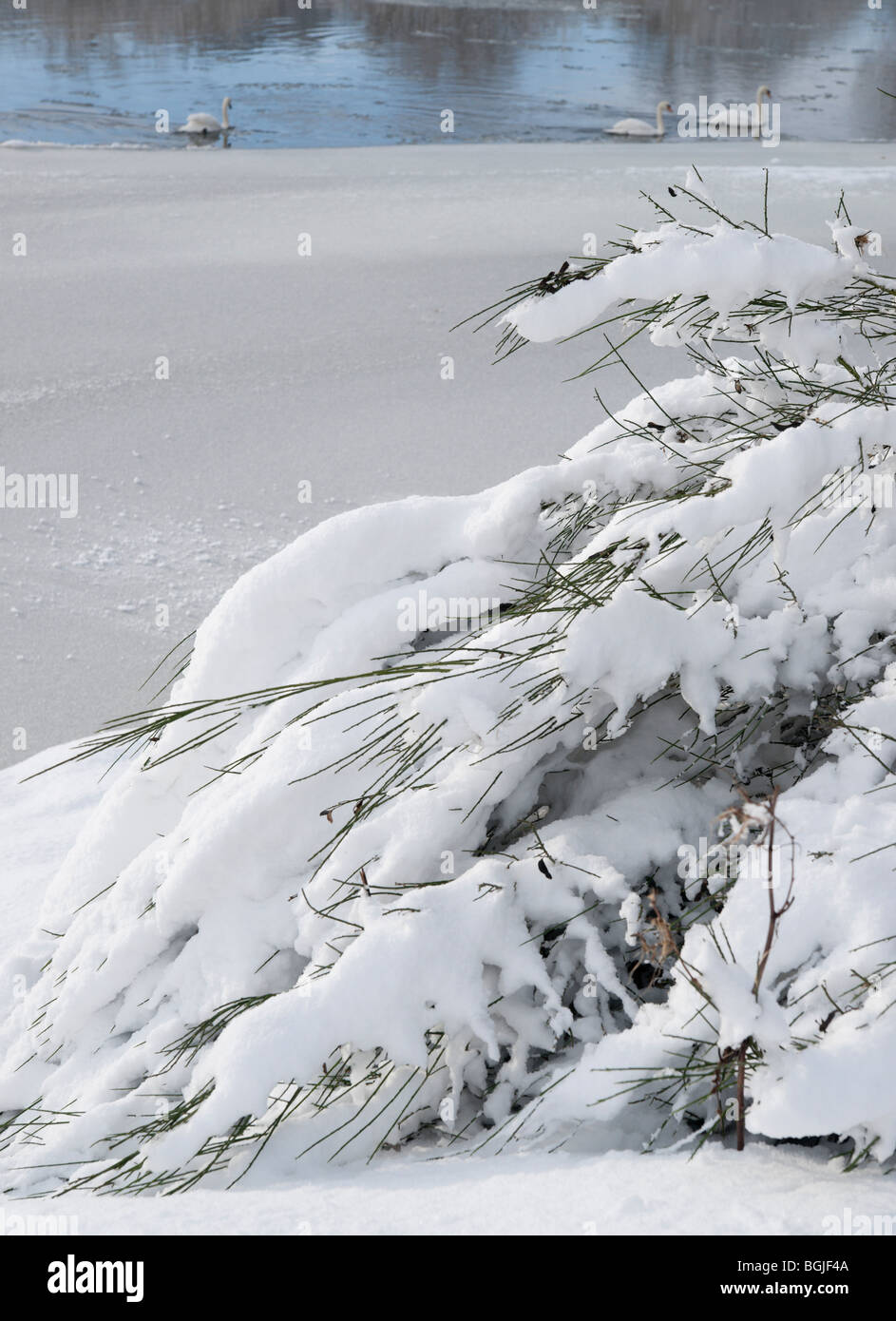 Kelso village tweed river scottish hi-res stock photography and images ...