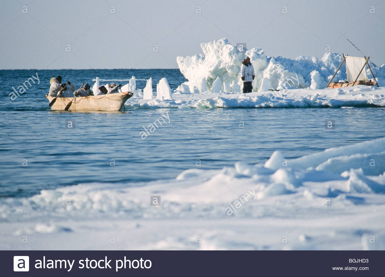 Barrow Alaska Ice Stock Photos & Barrow Alaska Ice Stock Images - Alamy