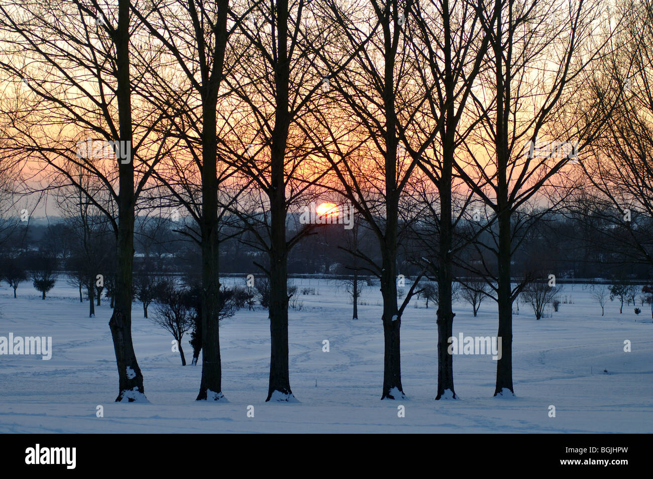 Sunset through trees in winter, Warwick, Warwickshire, England, UK ...