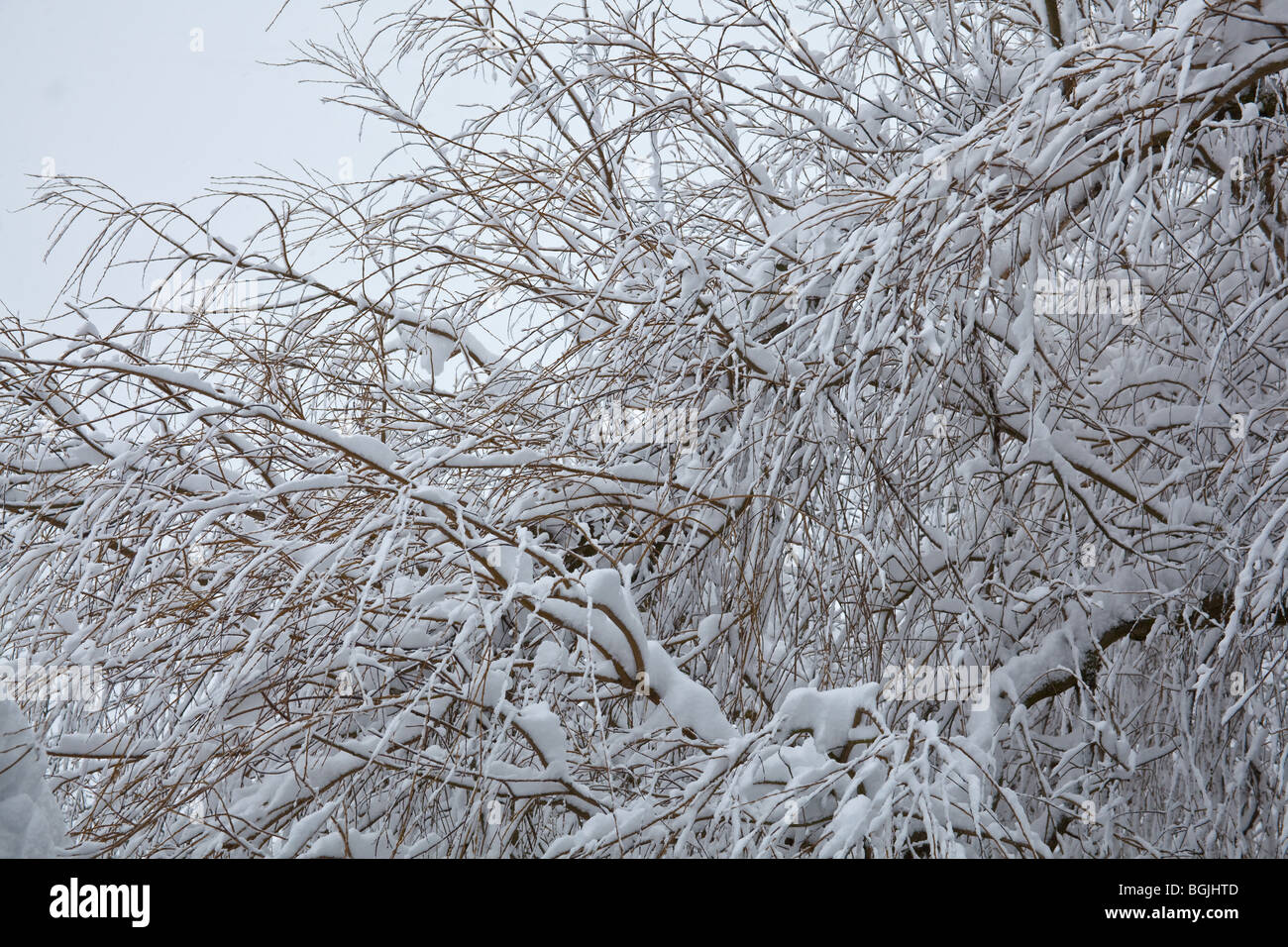 English fields covered in snow hi-res stock photography and images - Alamy