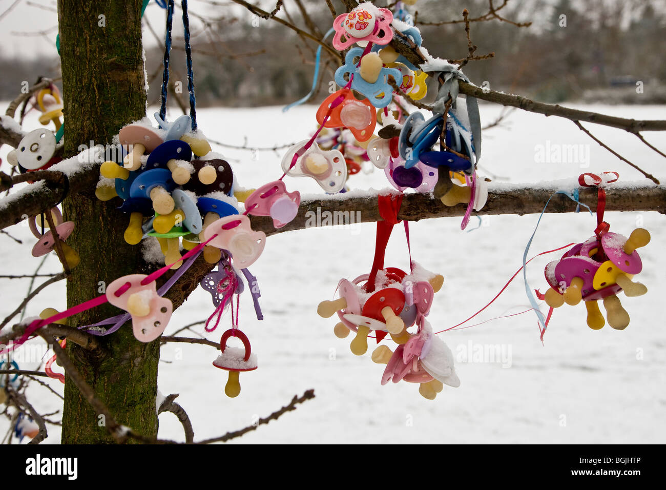 Dummies hung up in a tree Stock Photo - Alamy