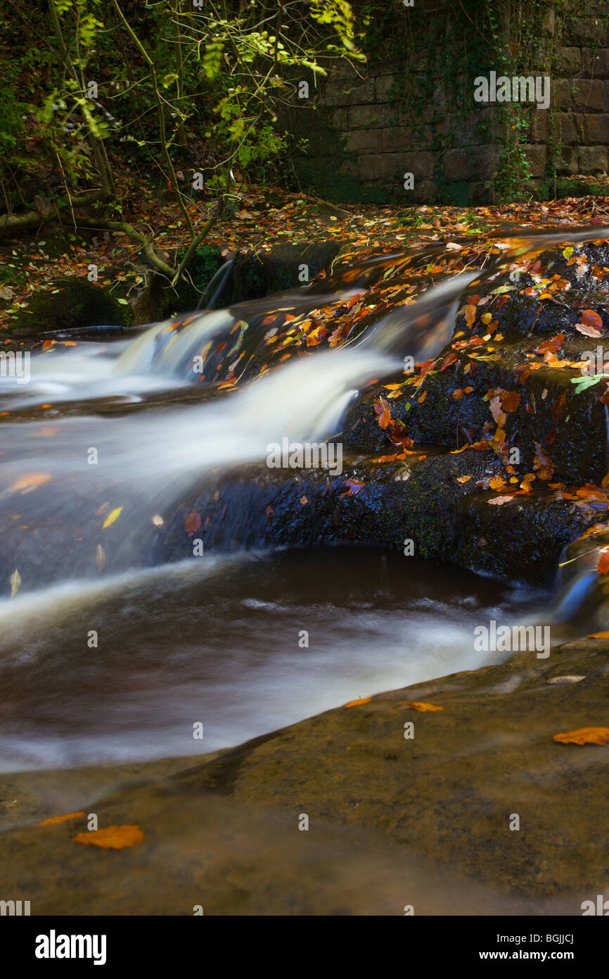 Water stream may trees hi-res stock photography and images - Alamy