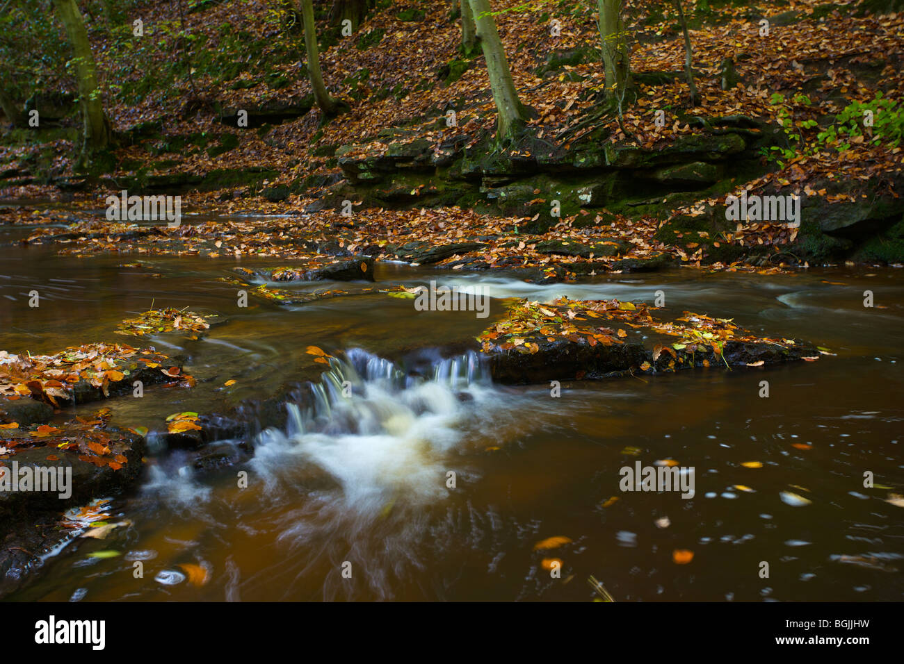Falling foss autumn hi-res stock photography and images - Alamy
