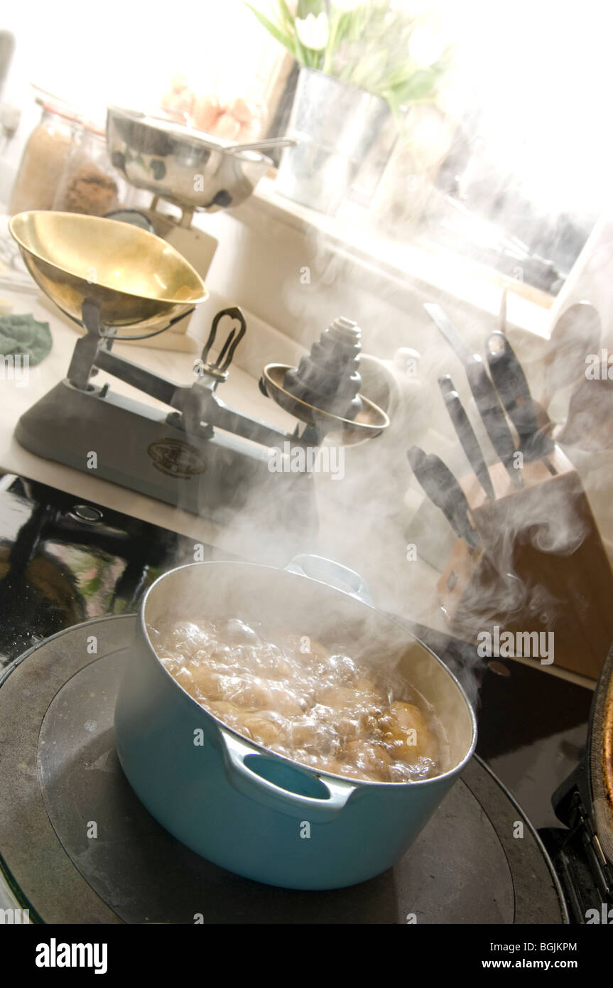 Boiling vegetables on a stove Stock Photo - Alamy