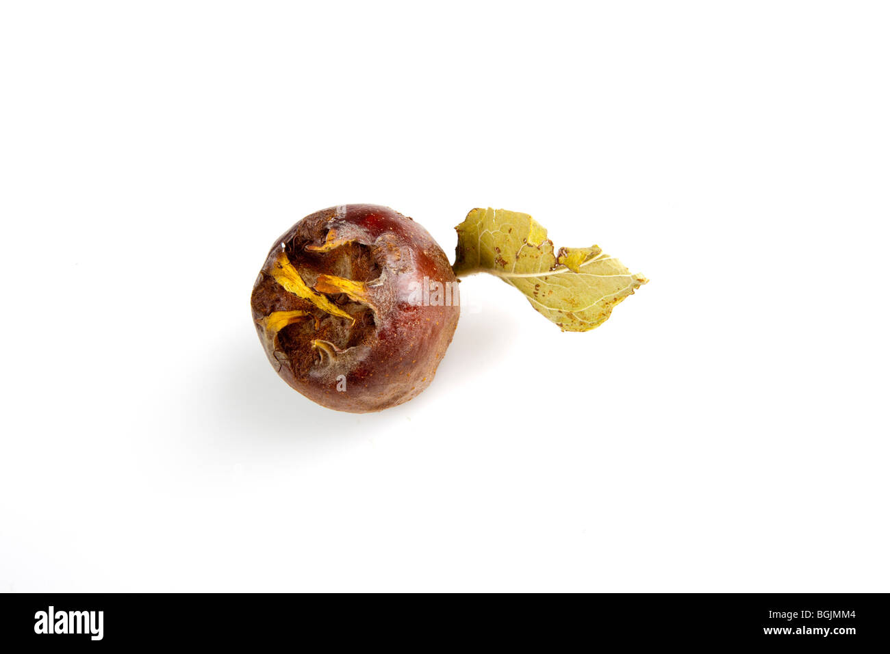 Blet hi-res stock photography and images - Alamy