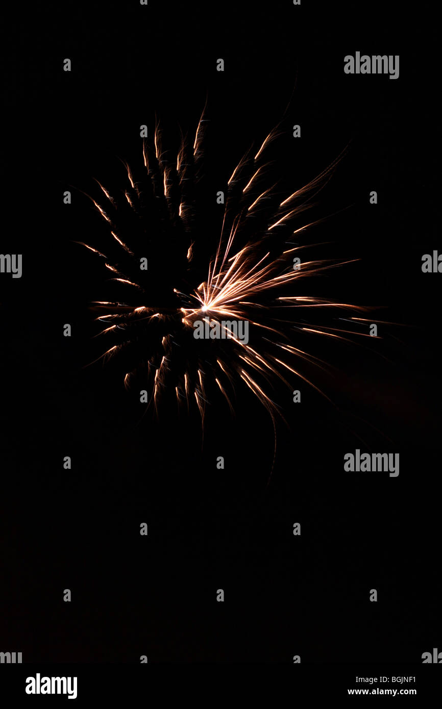 firework display in personal space on lawn in darkness in upright ...