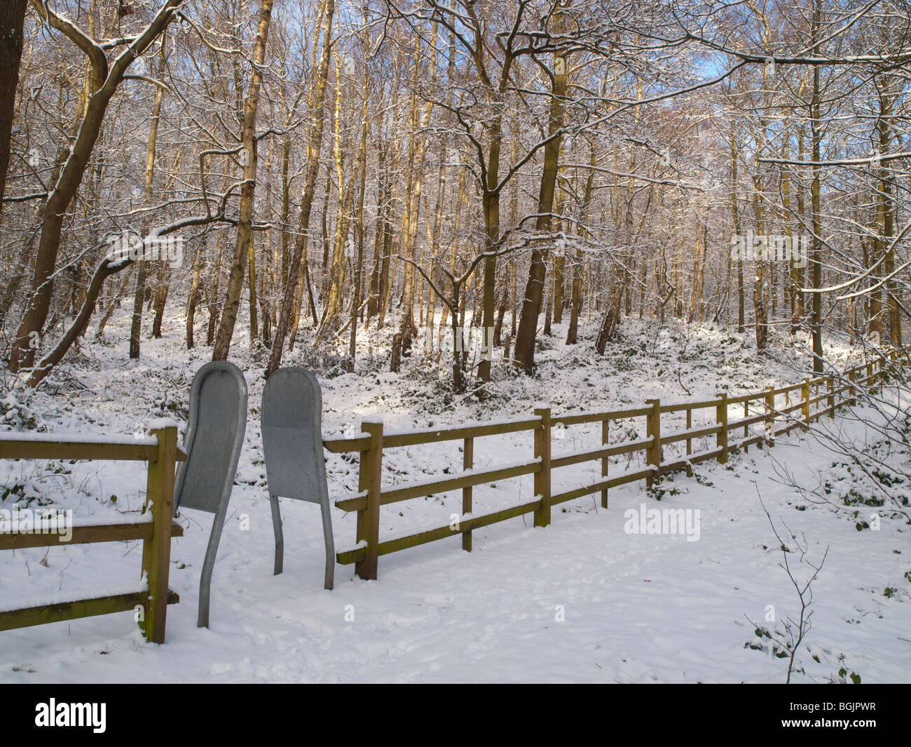 Snow at the Fox Covert Nature Reserve near Calverton in Nottinghamshire ...