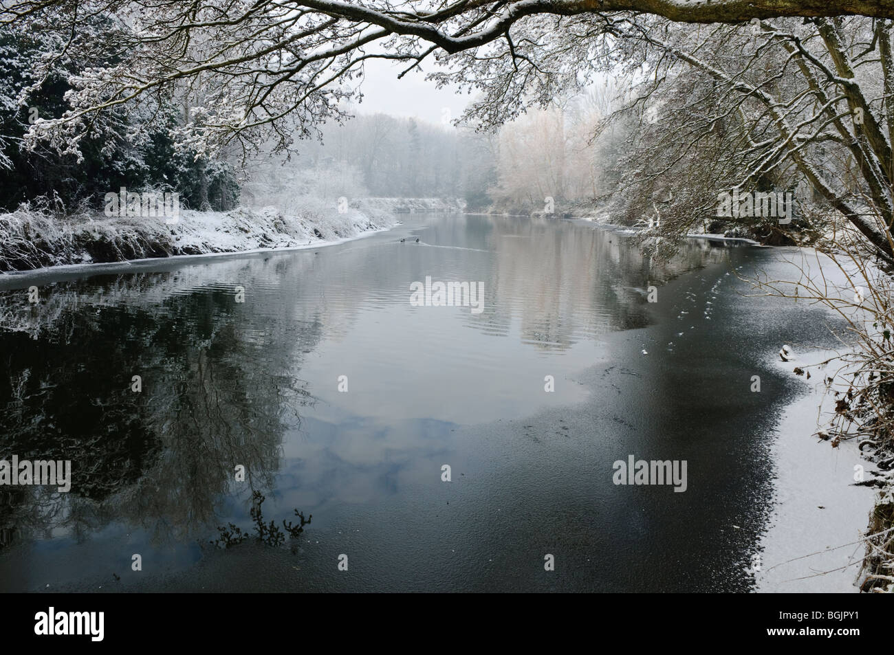 River Lagan at Minnowburn, Belfast, semi-frozen, banks covered with ...