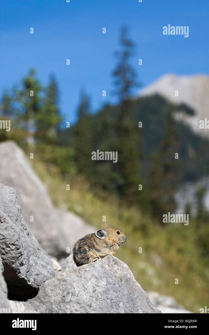 Guard lookout hi-res stock photography and images - Alamy