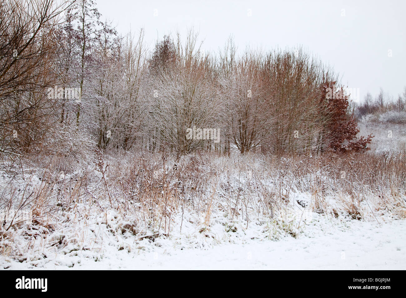 Chippenham wiltshire hi-res stock photography and images - Alamy