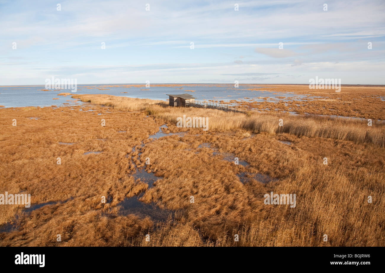 View of Liminganlahti ( Liminka Bay ) nature reserve boggy terrain at ...