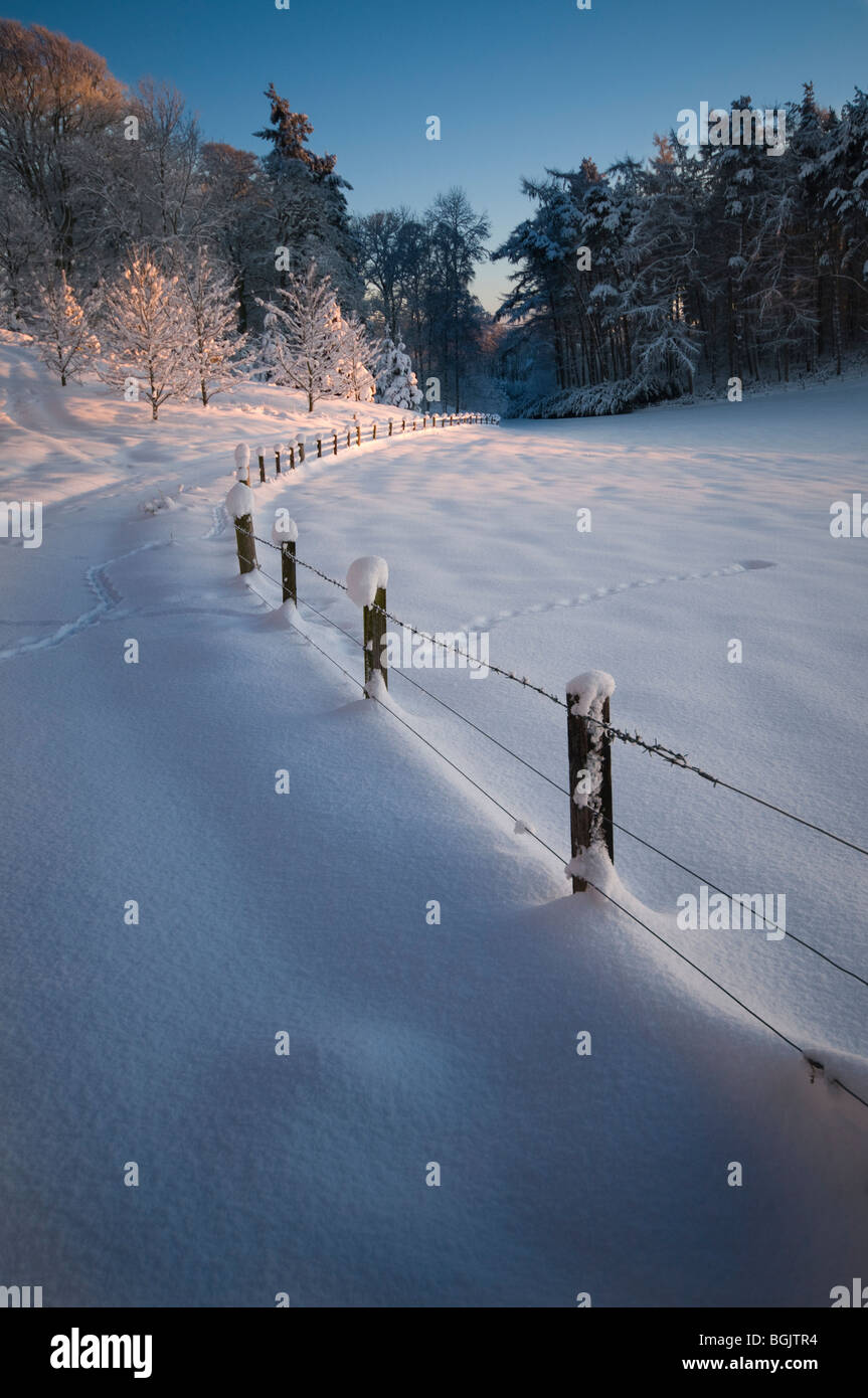 Scottish rural scene hi-res stock photography and images - Alamy
