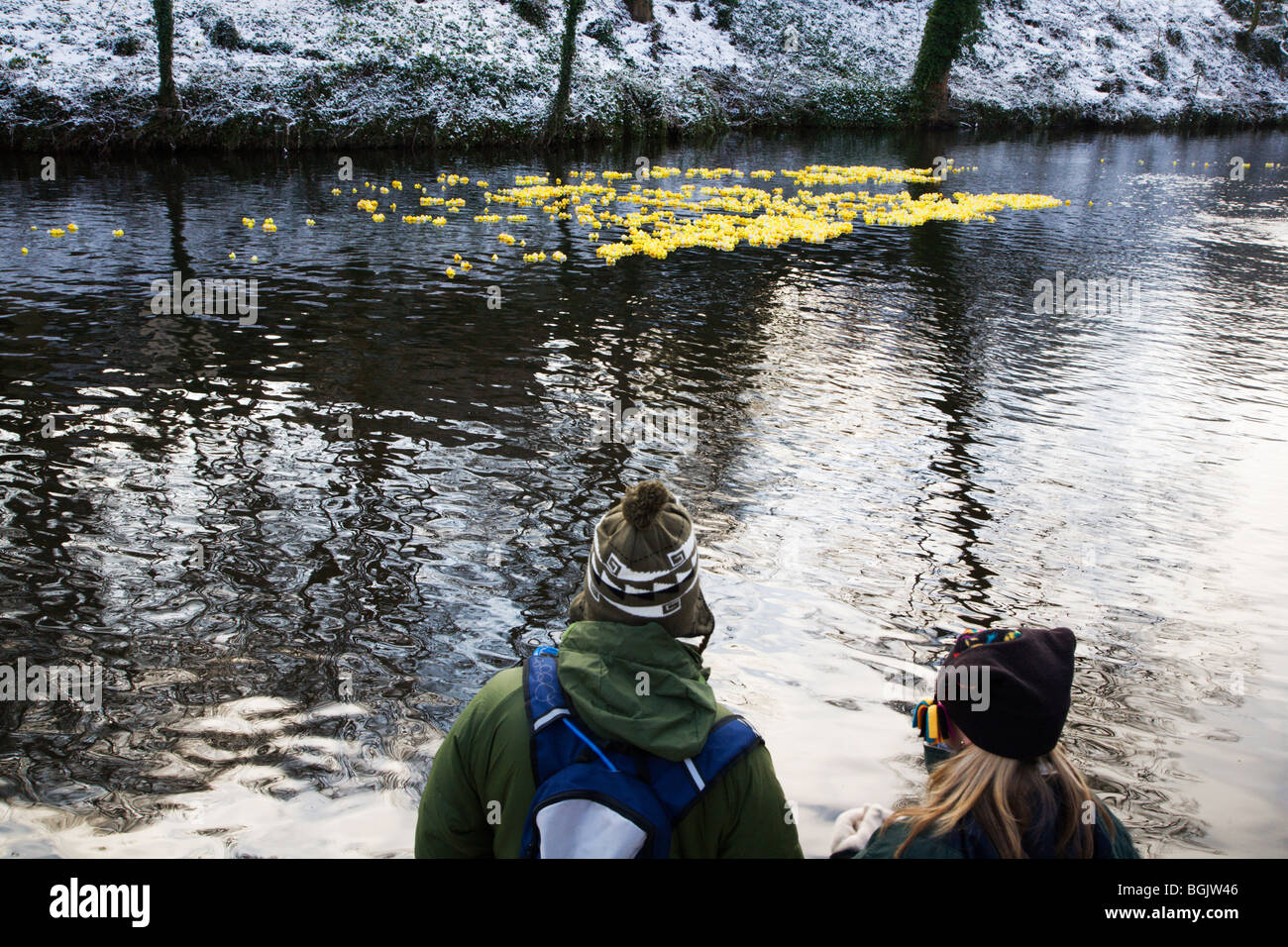 Plastic duck race hi-res stock photography and images - Alamy