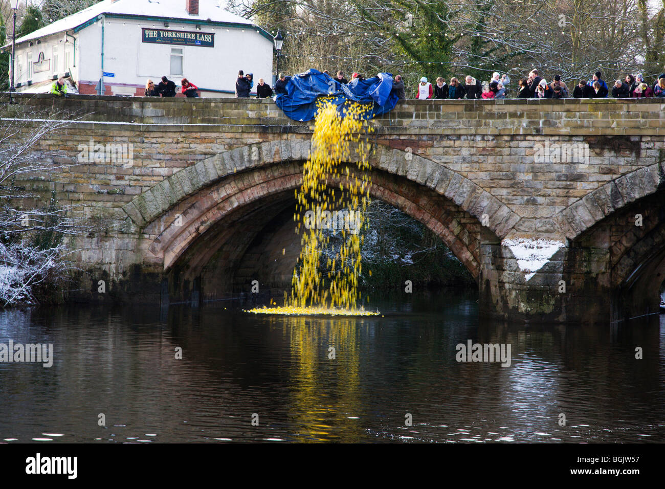 Duck race annual event hi-res stock photography and images - Alamy