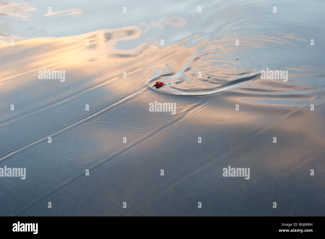 Lure for fishing hi-res stock photography and images - Alamy