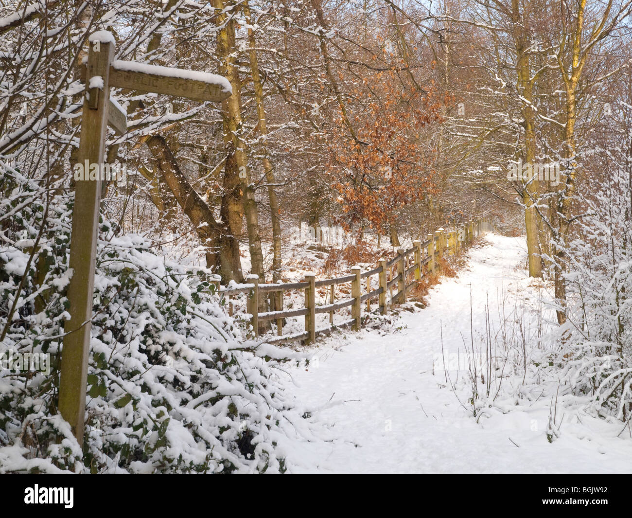 Snow at the Fox Covert Nature Reserve near Calverton in Nottinghamshire ...