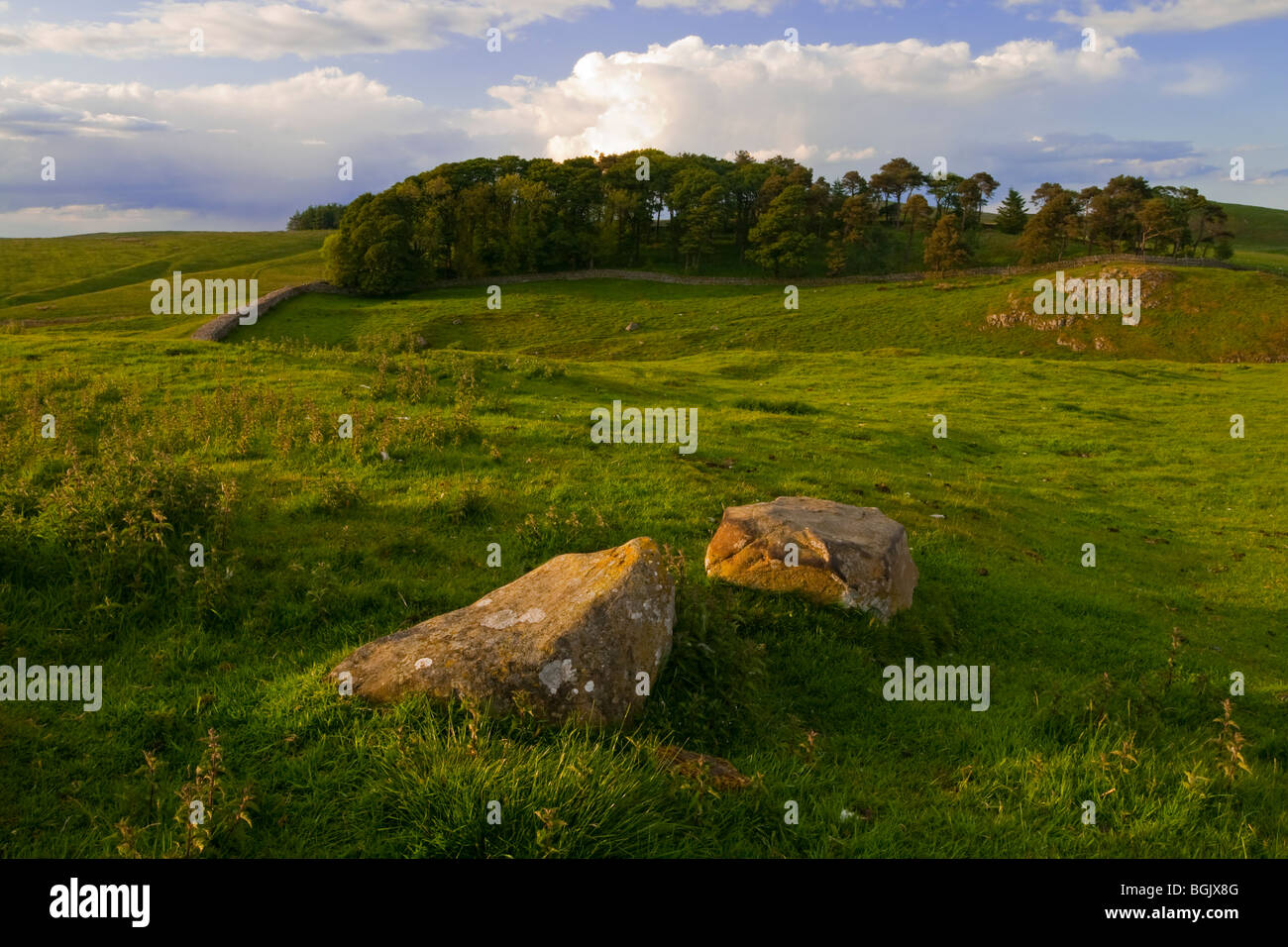 Hadrians wall in close hi-res stock photography and images - Alamy