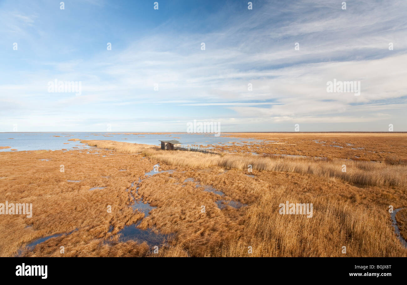 Bog cabin hi-res stock photography and images - Alamy