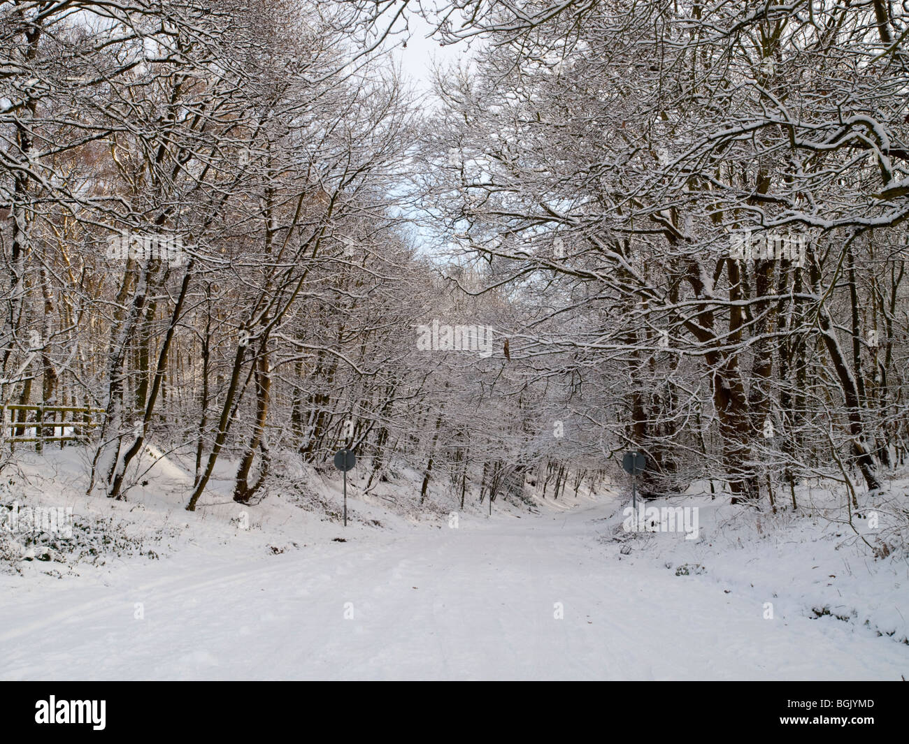 Snow at the Fox Covert Nature Reserve near Calverton in Nottinghamshire ...
