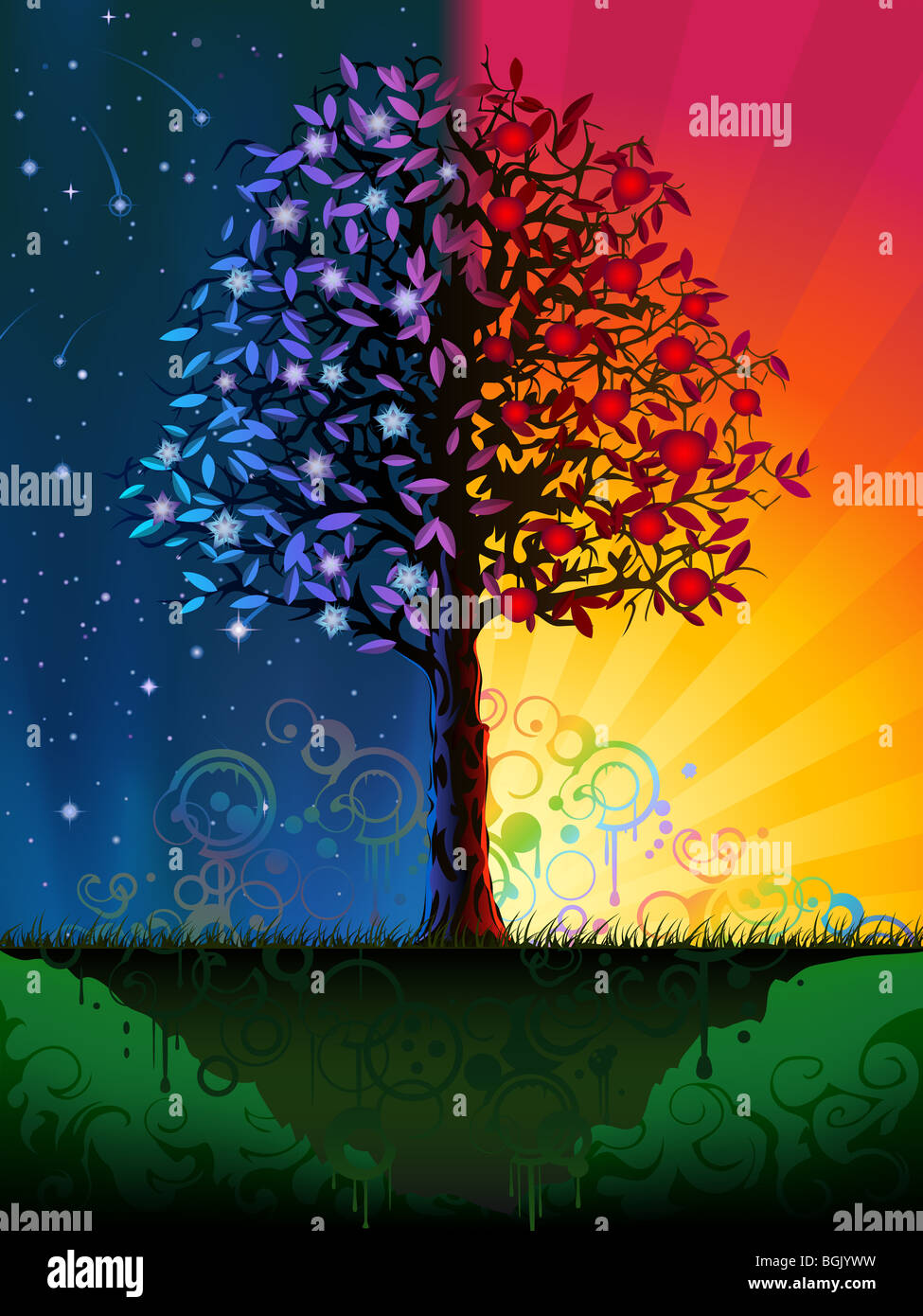 Day and night tree Stock Photo - Alamy