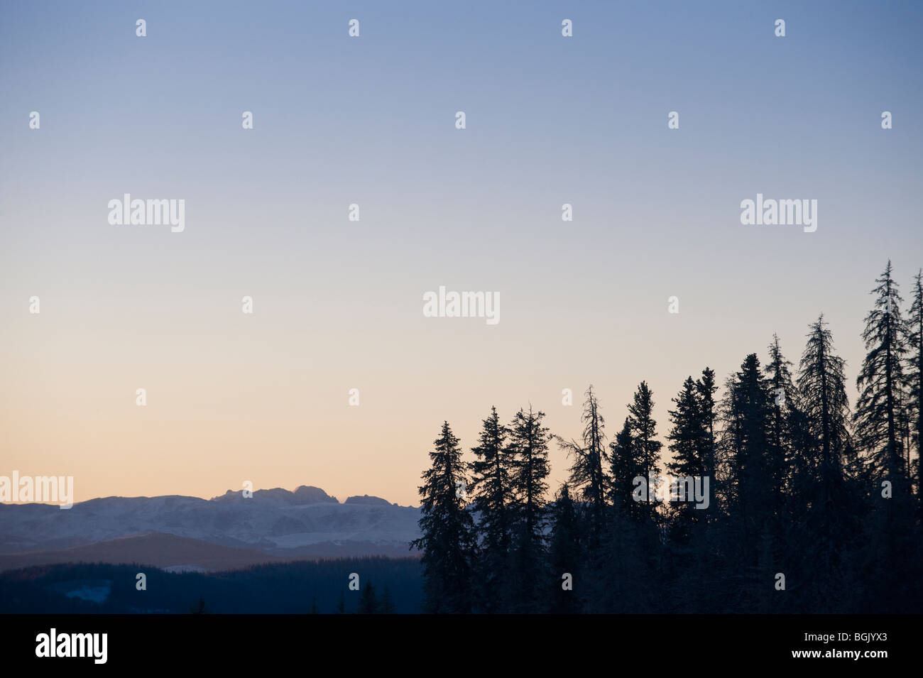 SILHOUETTED TREES AND MOUNTAINS, WYOMING Stock Photo - Alamy