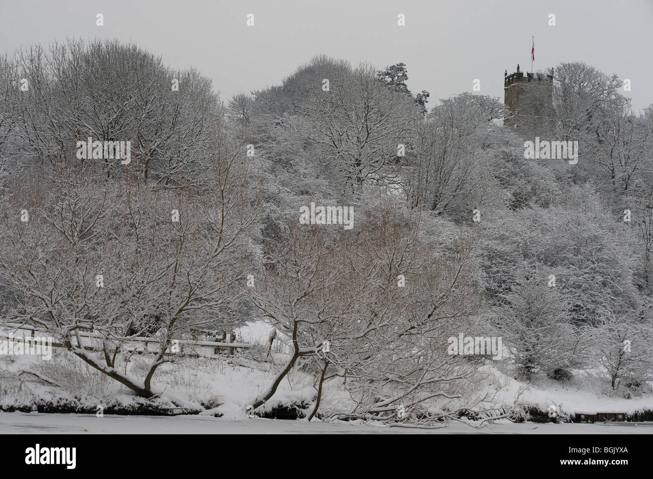 Frost on tees hi-res stock photography and images - Alamy